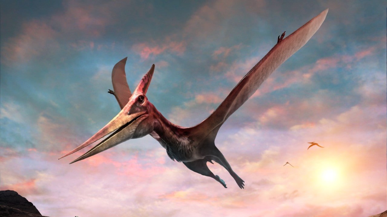 Teradactyl - Exploring Their Habitats, Evolution, And Legacy